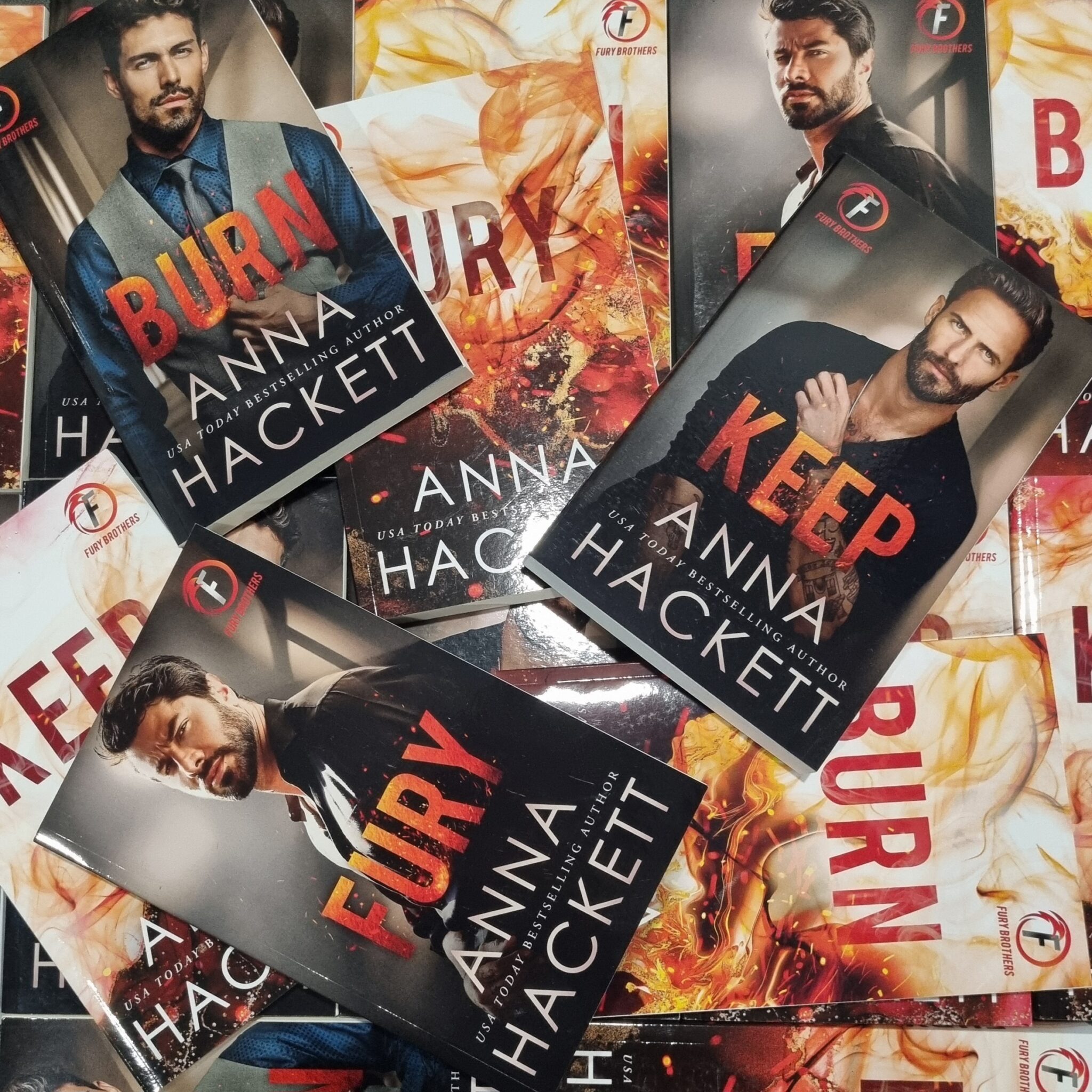 Cover Reveal - Fury Brothers: Take - Anna Hackett